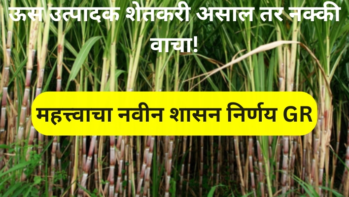 पिक विमा स्वयंघोषणापत्र PDF डाऊनलोड करा | Pik Vima Pik Pera Form PDF ...